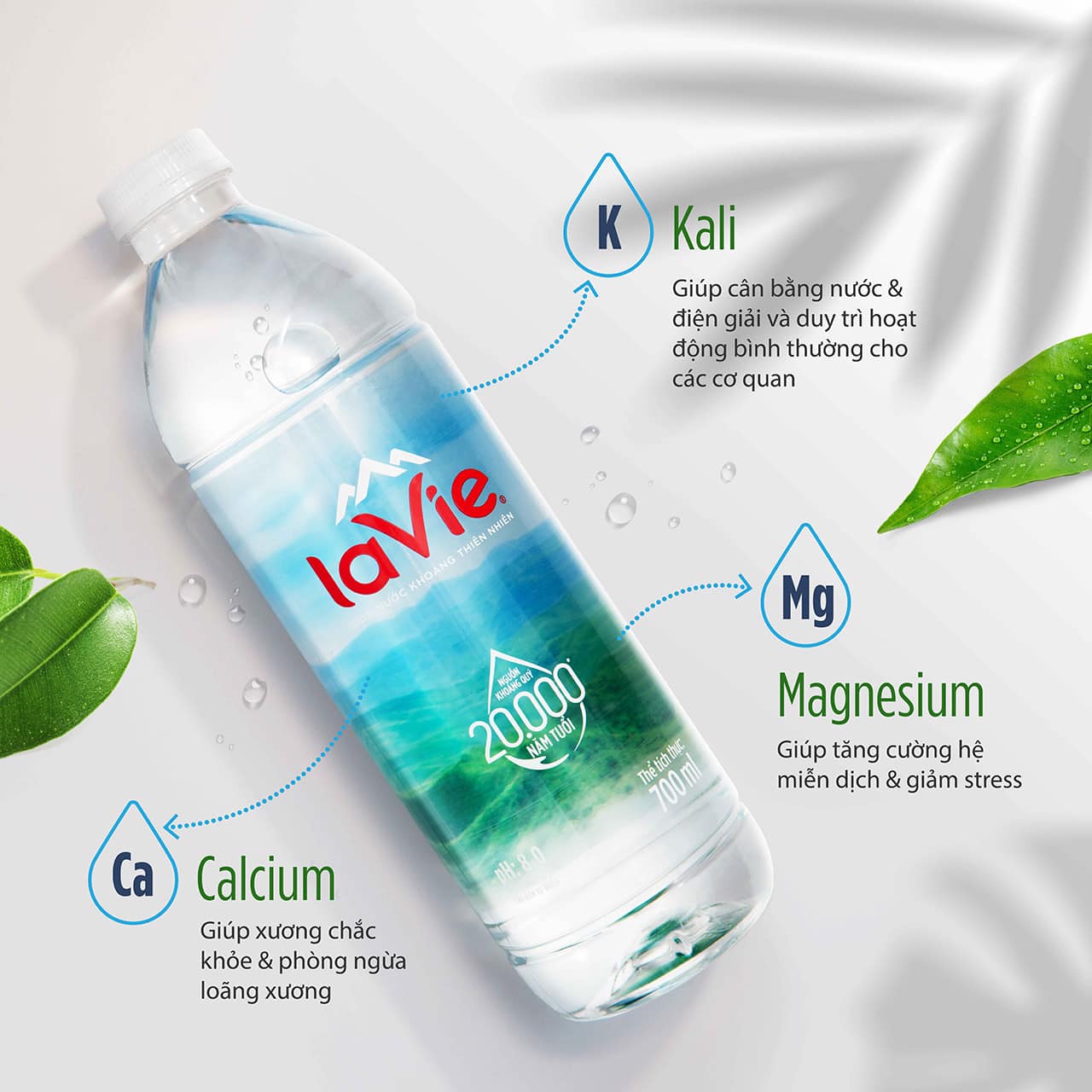 Lịch sử hình thành nước khoáng Lavie